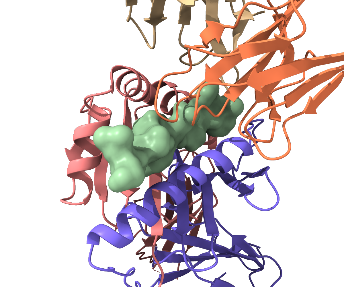 Animate a rotating protein from the Protein Data Bank · Kamil Slowikowski